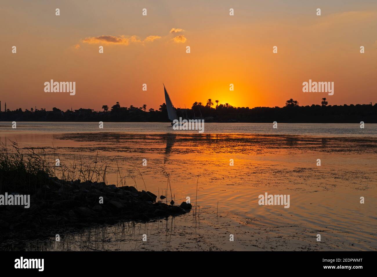 Silhouette of tropical river bank at dusk sunset sun in orange sky with ...