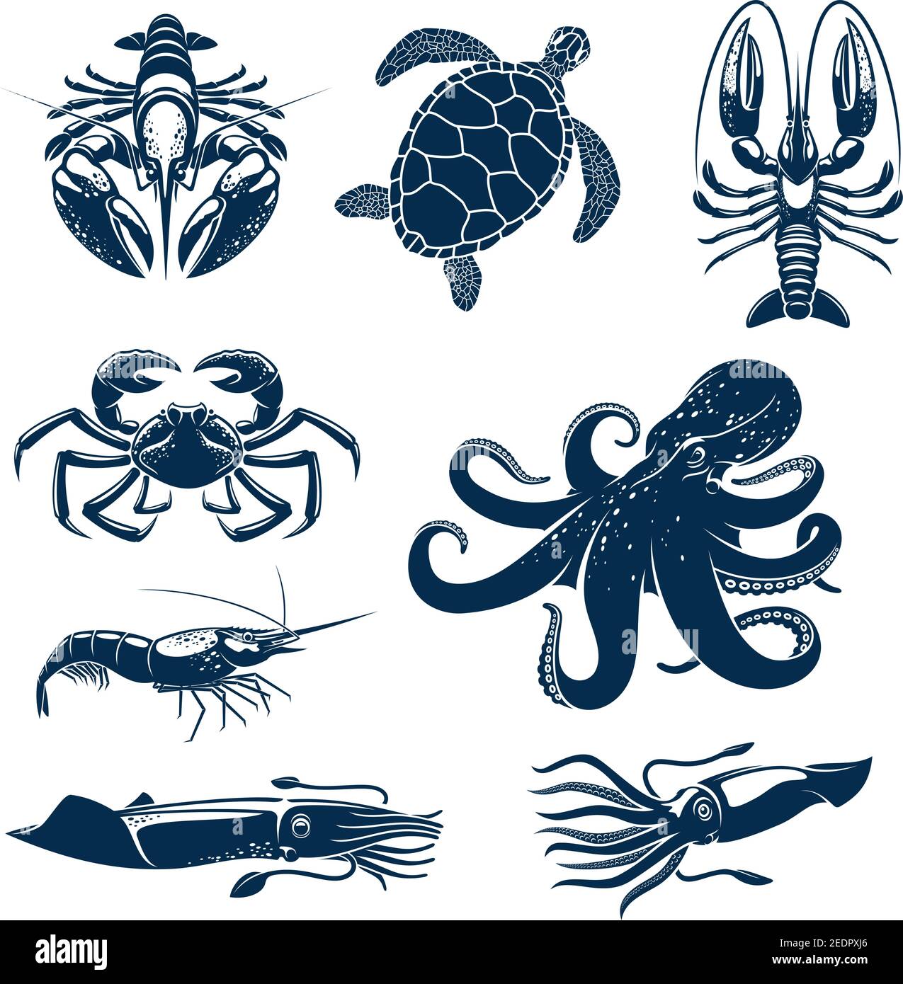 Seafood, marine animal icon set. Octopus, crab, shrimp, squid, lobster ...