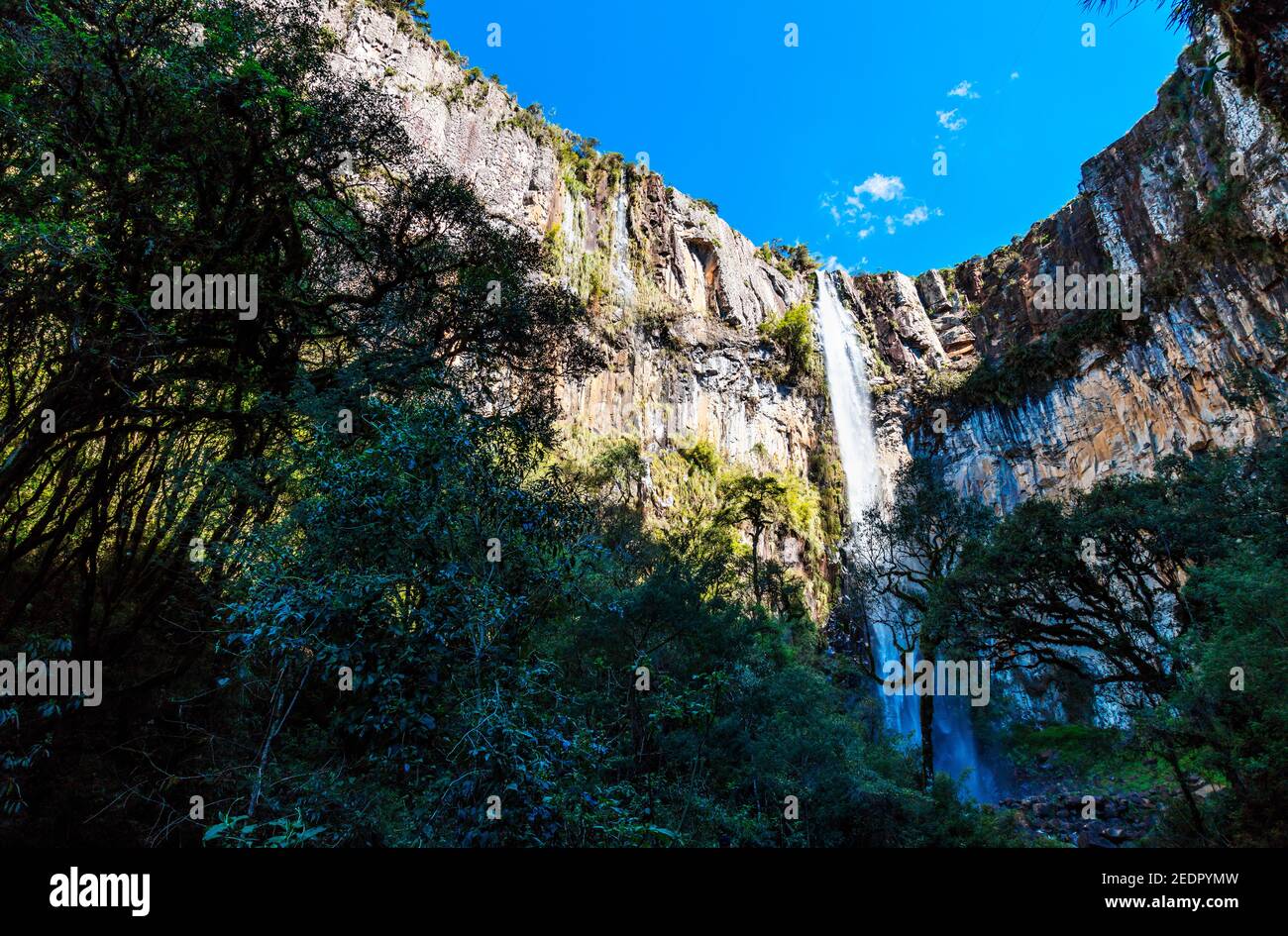 Breathtaking view of a beautiful waterfall and forest in Brazil Stock ...