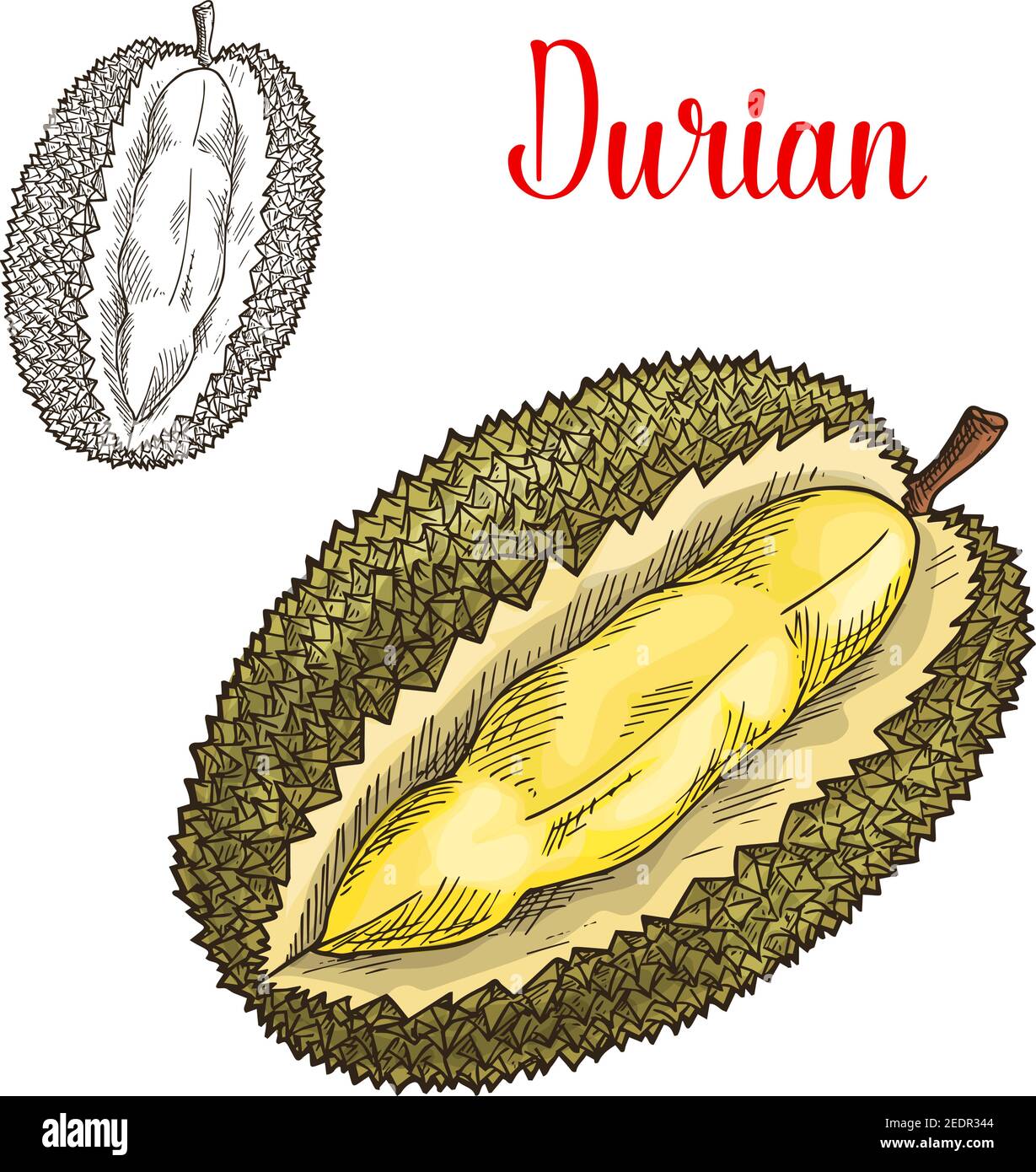 Asian grocery store logo Stock Vector Images - Alamy