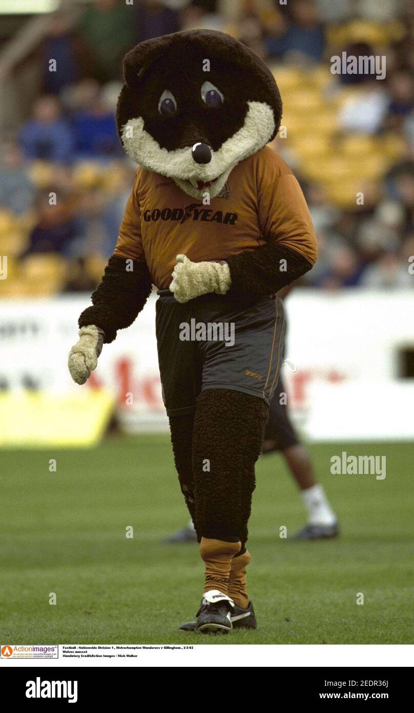 Wolves Mascot High Resolution Stock Photography and Images - Alamy