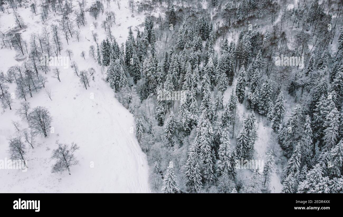 Snowed Forest Aerial Stock Photo - Alamy