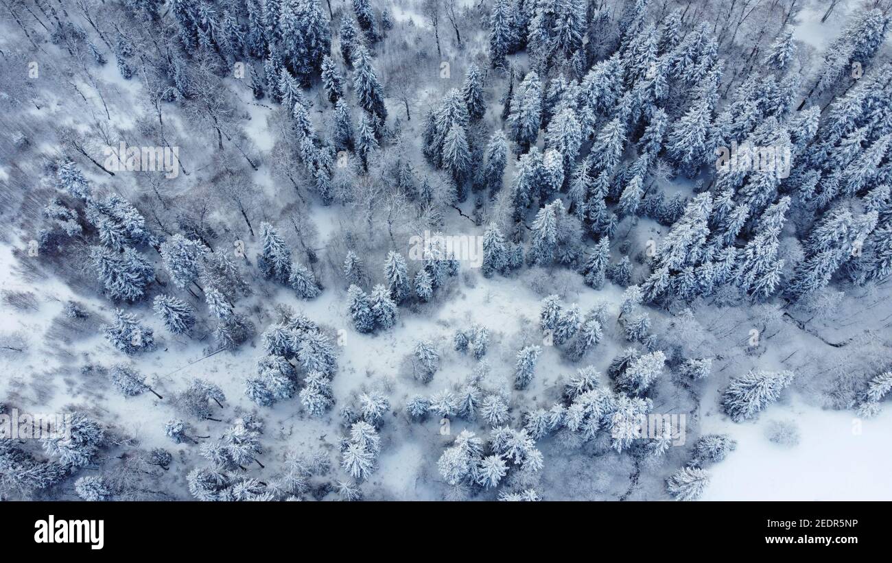 Snowed Forest Aerial Stock Photo - Alamy