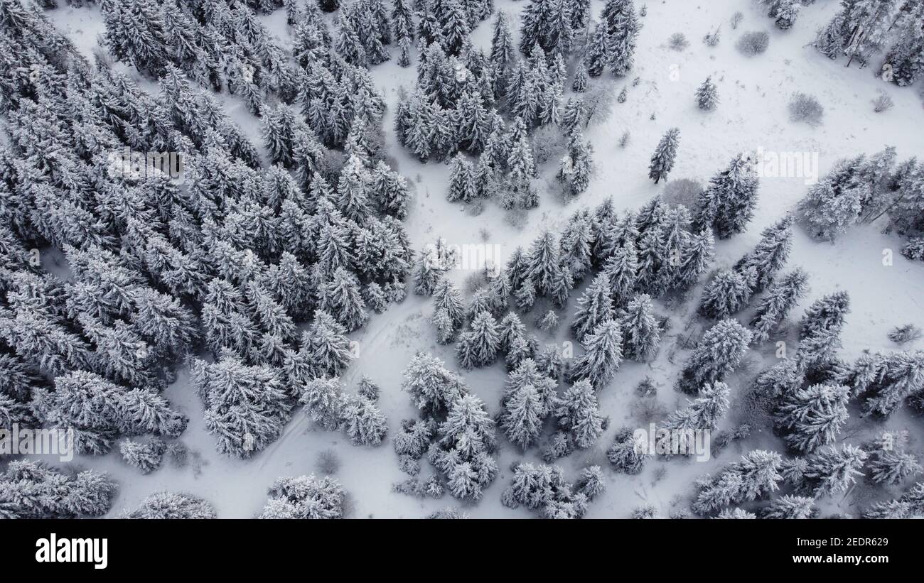 Snowed Forest Aerial Stock Photo - Alamy