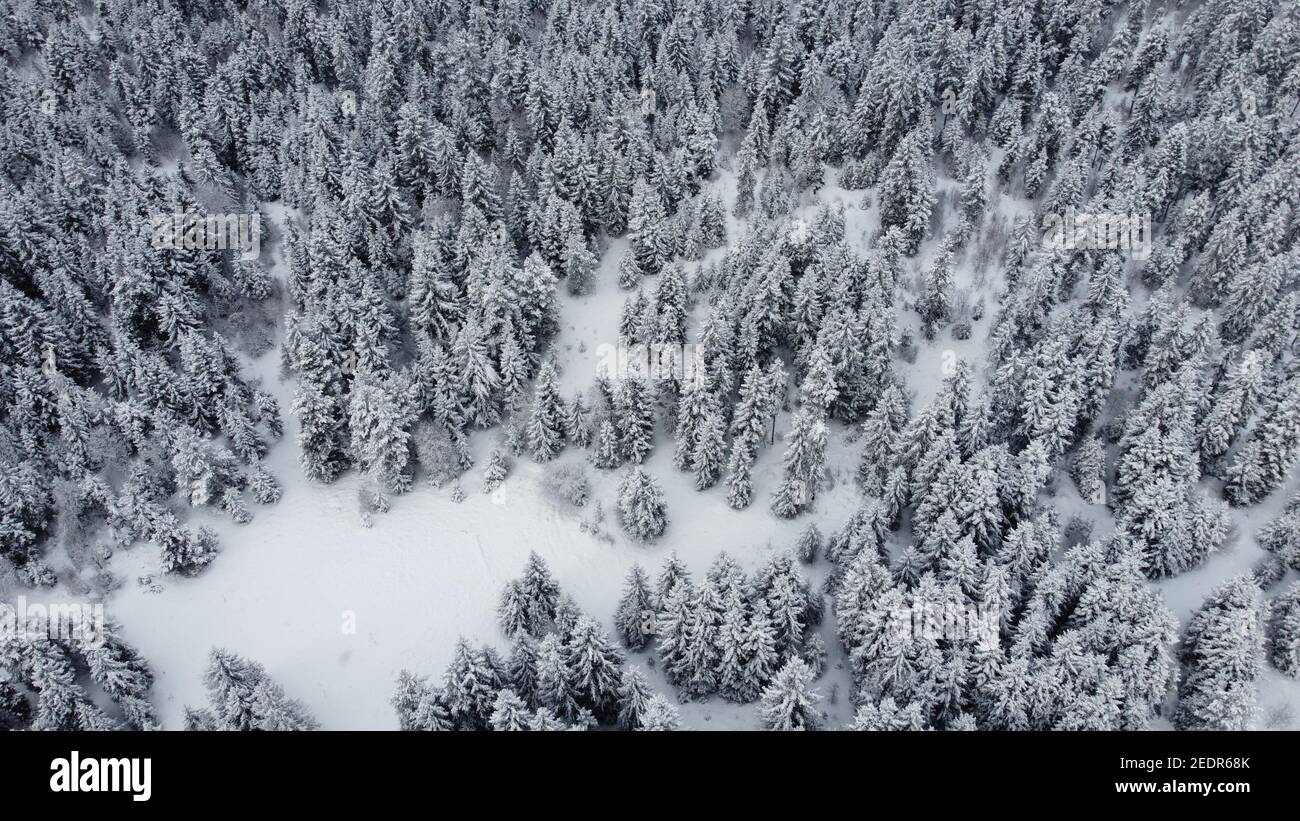 Snowed Forest Aerial Stock Photo - Alamy