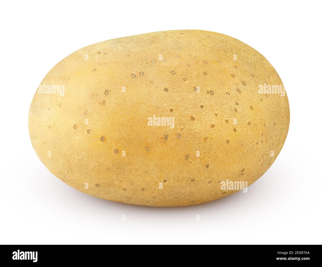 Closeup of single potato isolated on white background with clipping ...