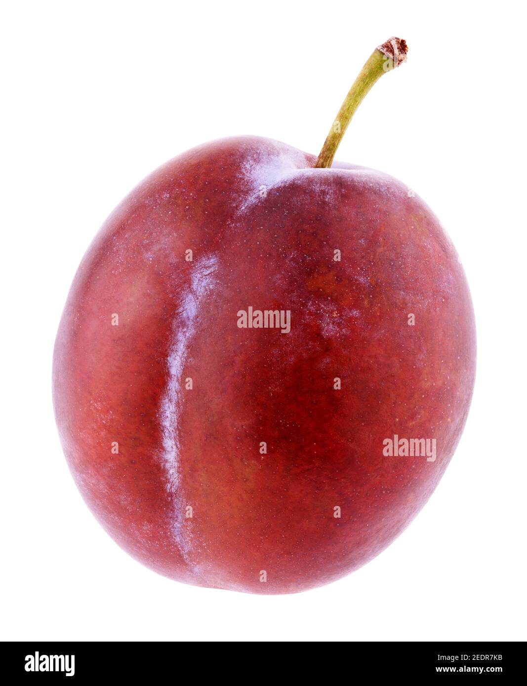 Fresh red plum isolated on white background with clipping path Stock ...