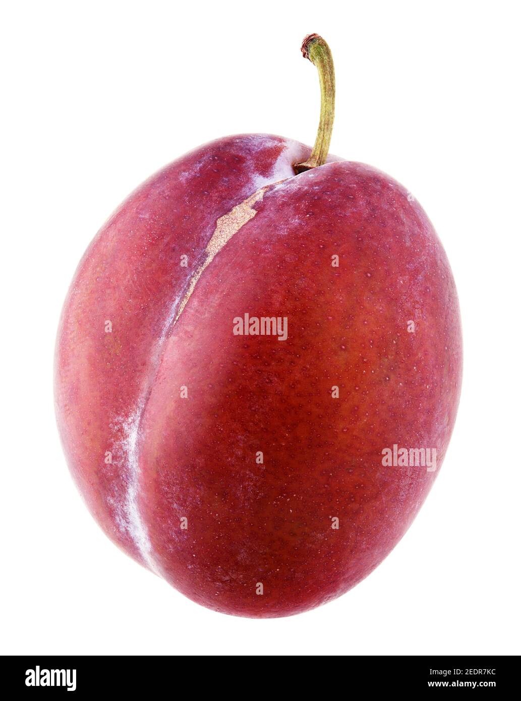 Fresh red plum isolated on white background with clipping path Stock ...