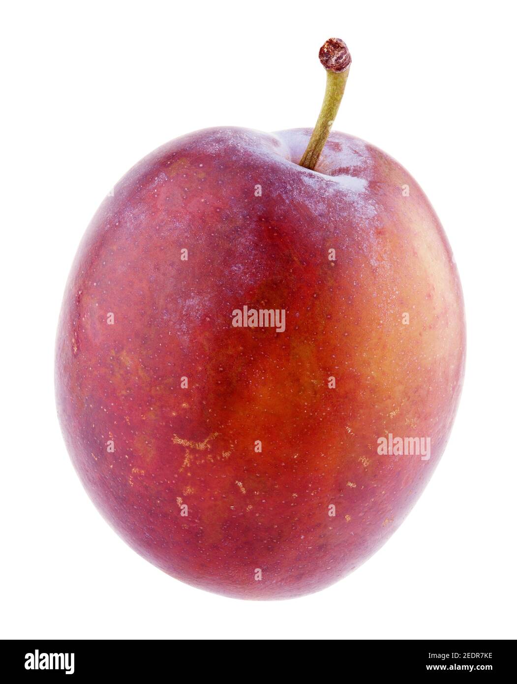 Fresh red plum isolated on white background with clipping path Stock ...