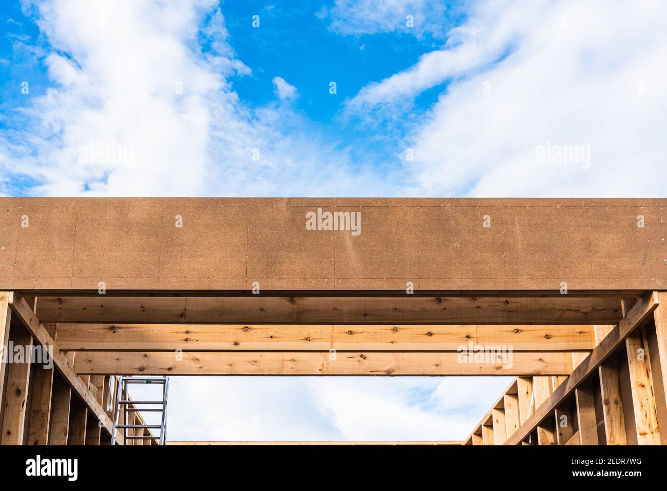 Construction of a sustainable wooden building, roof and walls without ...