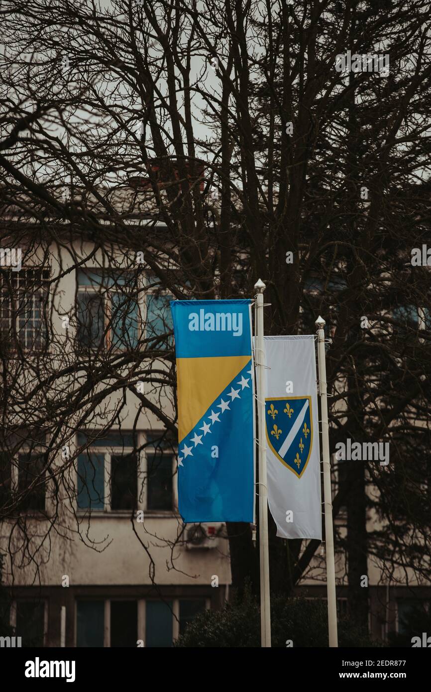 Vertical shot of the flags of Bosnia and Herzegovina on the background ...
