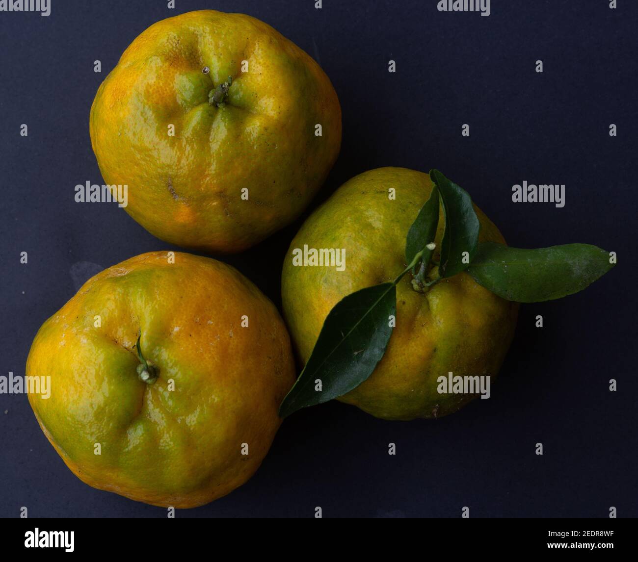 Three tangerines with leaves hi-res stock photography and images - Alamy