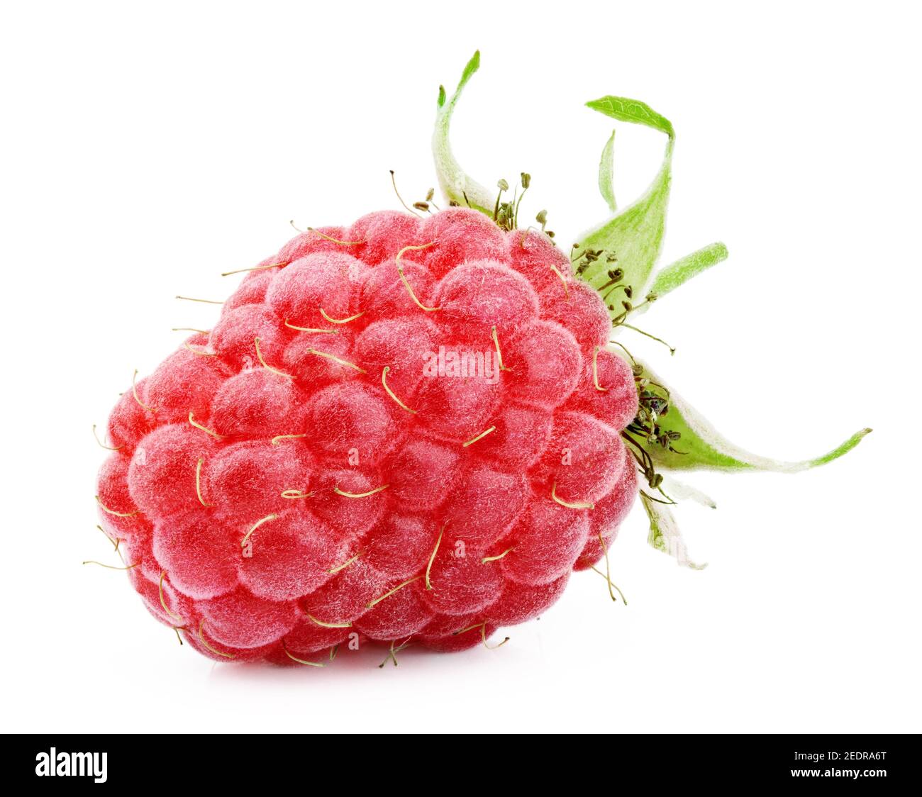 Ripe red raspberry isolated on white background Stock Photo - Alamy