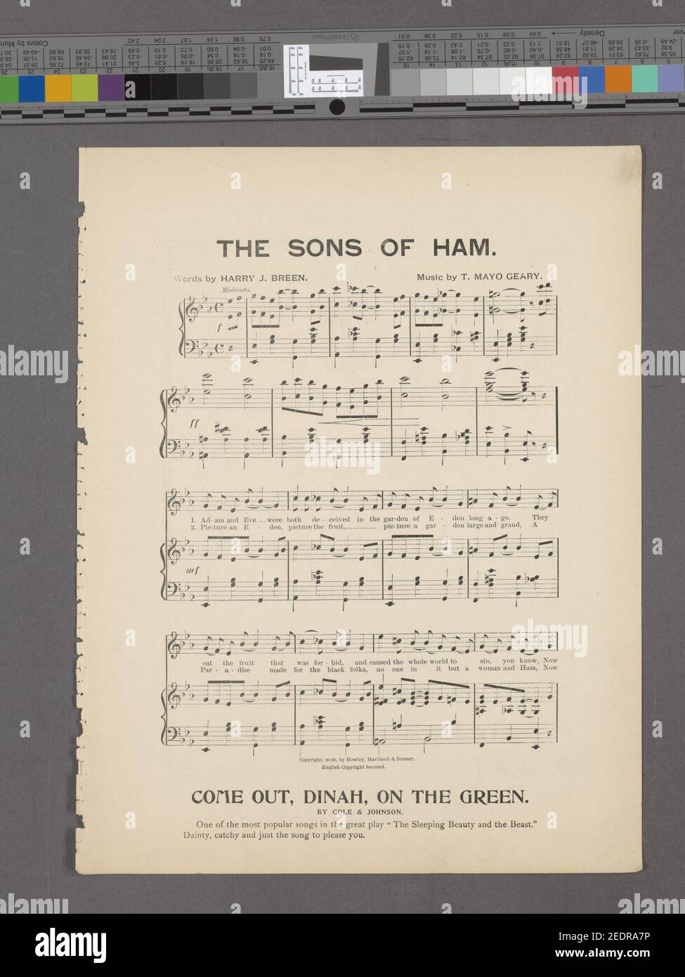 The sons of Ham Stock Photo - Alamy