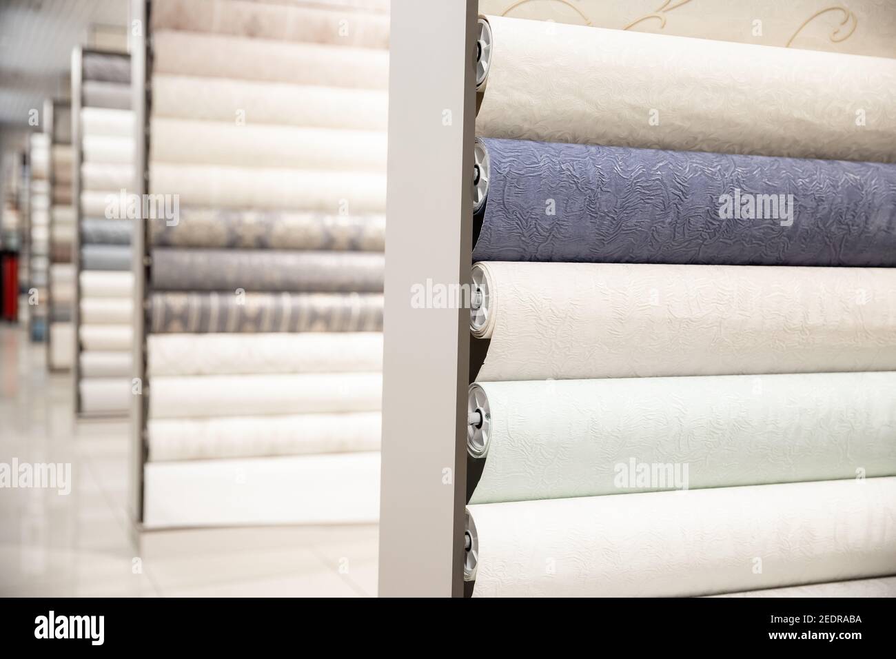 Samples of different colorful rolls of wallpaper in shop, choice in row ...