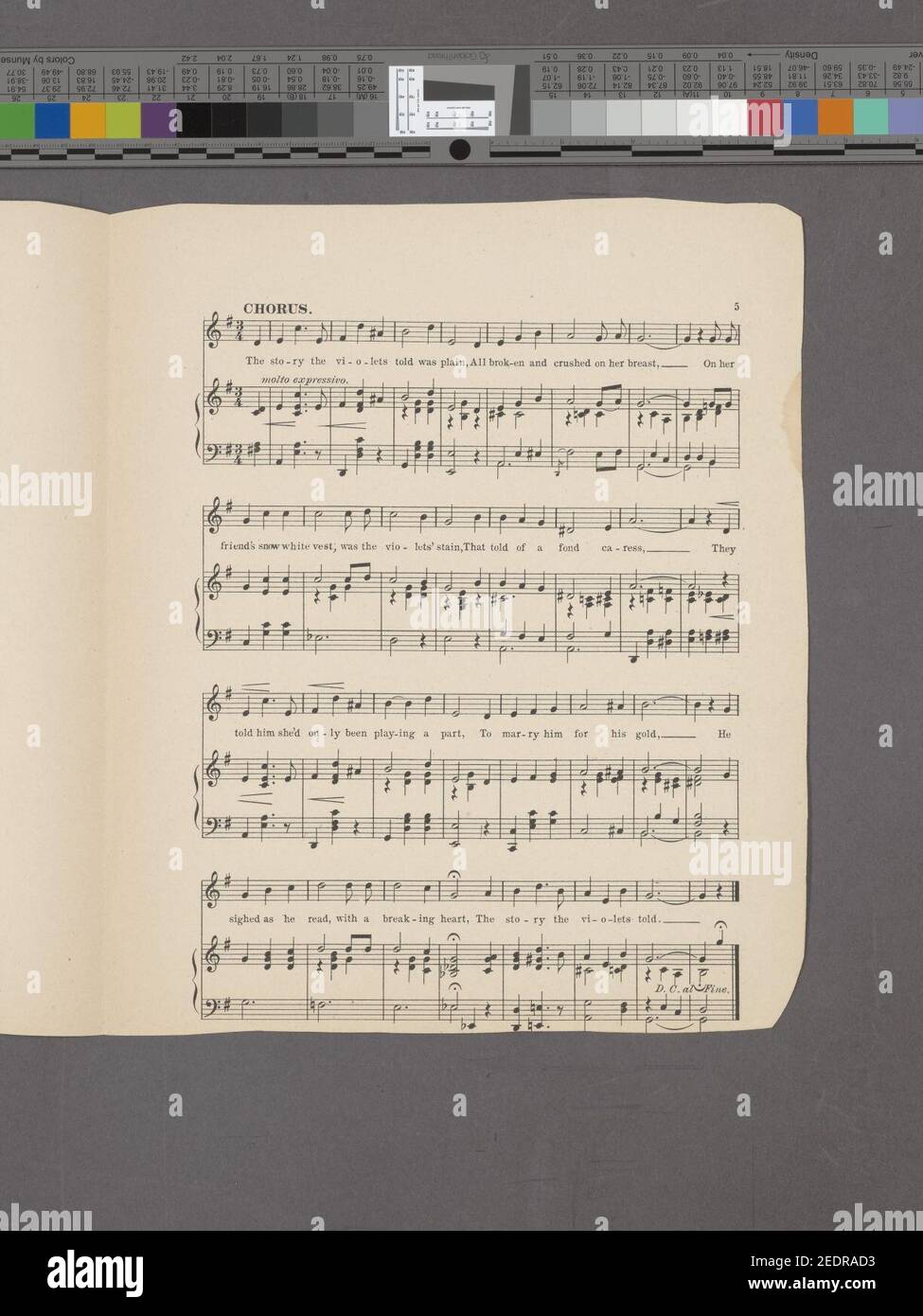 The story the violets told Stock Photo - Alamy