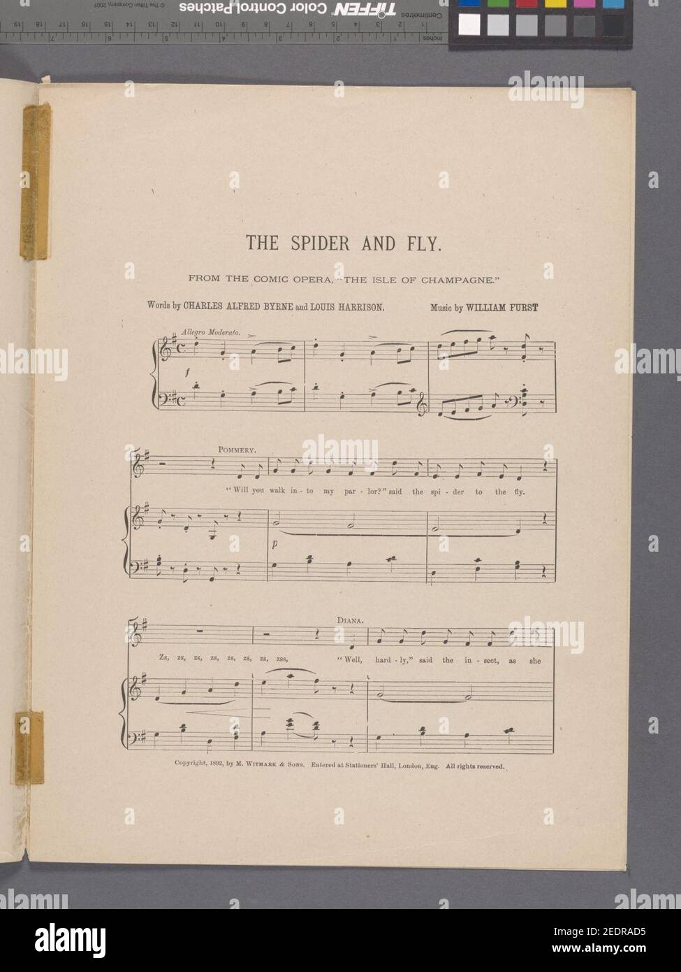 The spider and the fly Stock Photo - Alamy