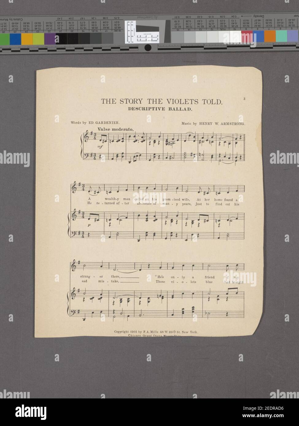 The story the violets told Stock Photo - Alamy