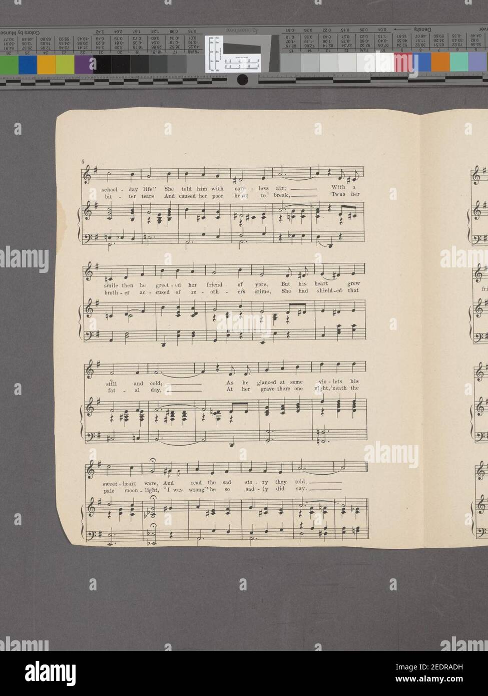 The story the violets told Stock Photo - Alamy