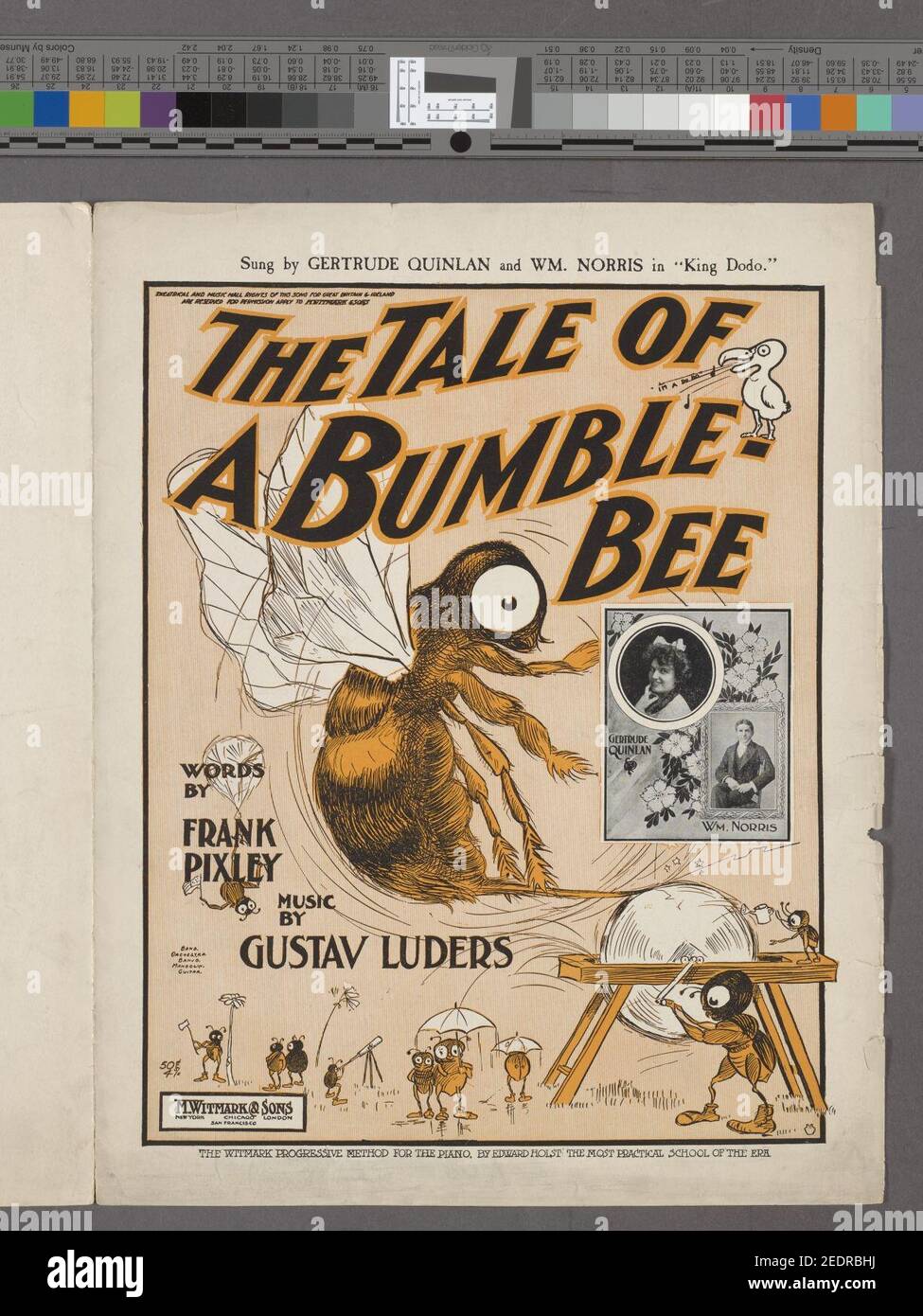 The tale of a bumble-bee Stock Photo - Alamy
