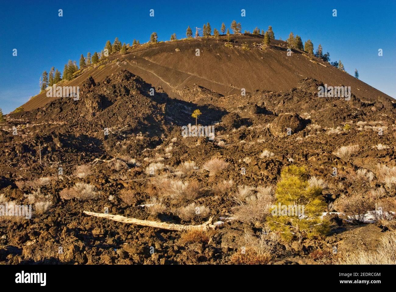 Lava Butte volcano seen from Trail of the Molten Land at Newberry ...