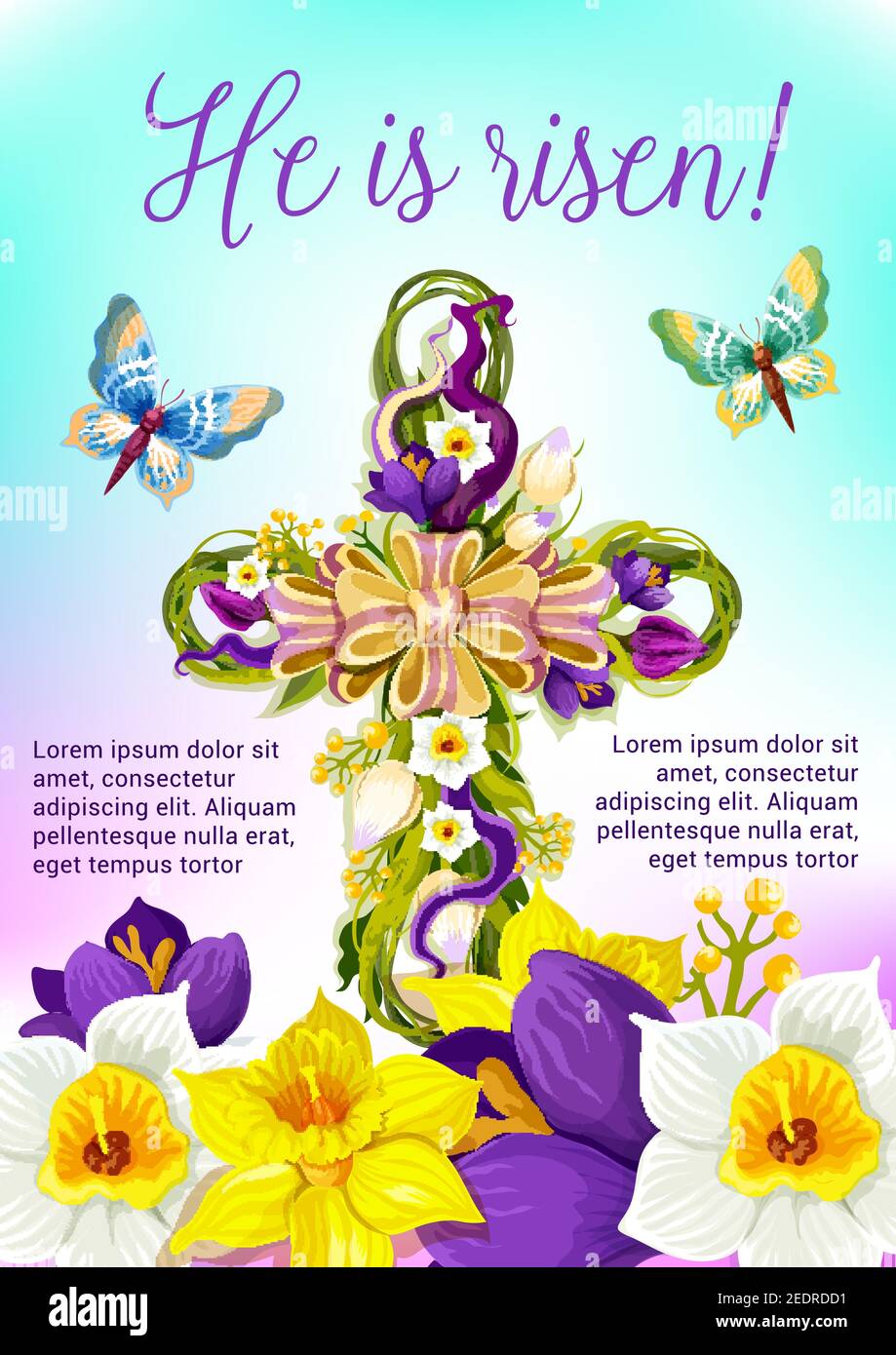 Crocus flower and tulip leaves Stock Vector Images - Alamy