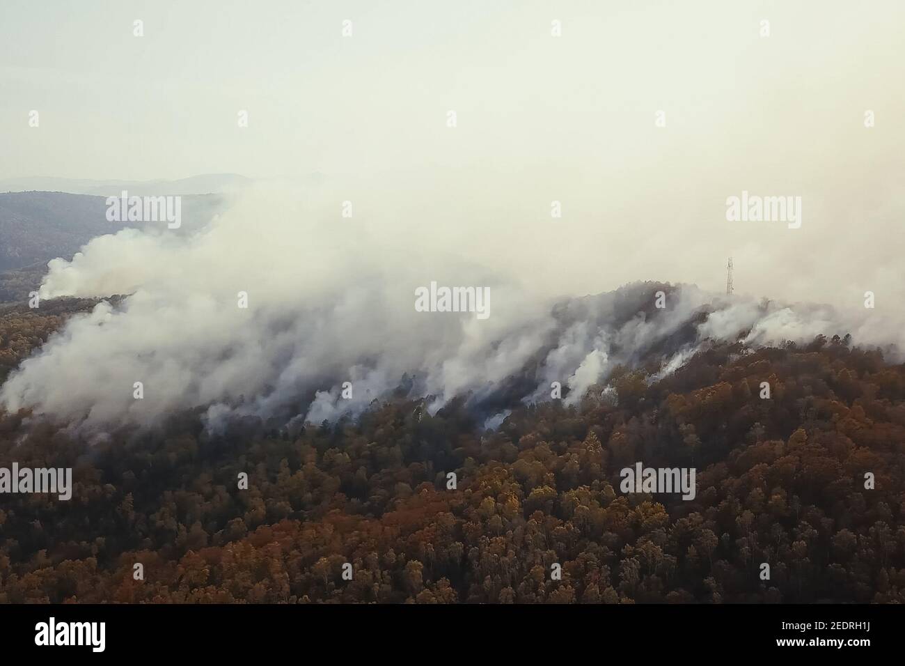 Taiga forest fires hi-res stock photography and images - Alamy