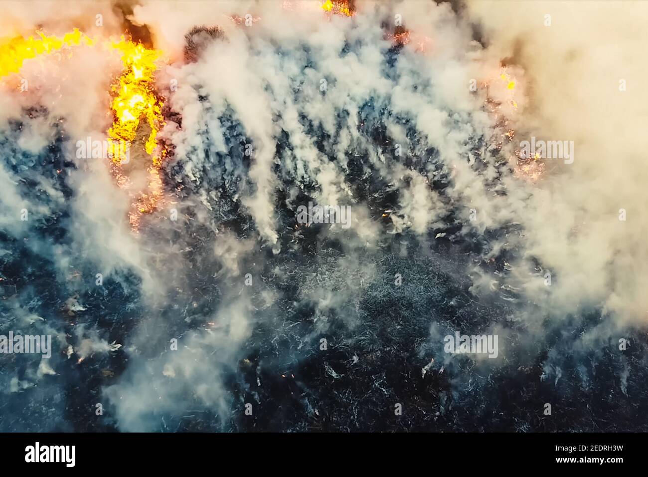 Taiga forest fires hi-res stock photography and images - Alamy