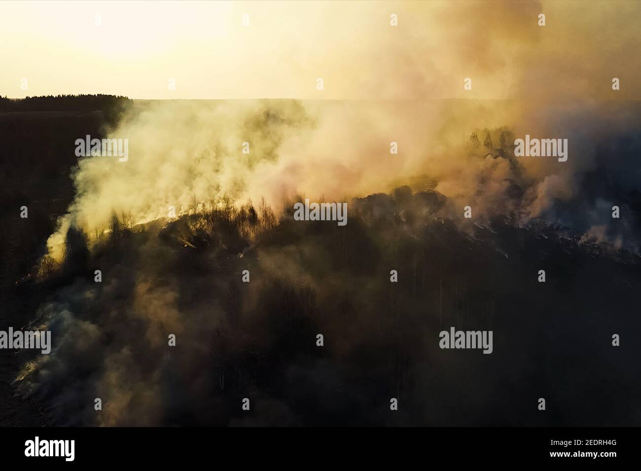 Taiga forest fires hi-res stock photography and images - Alamy