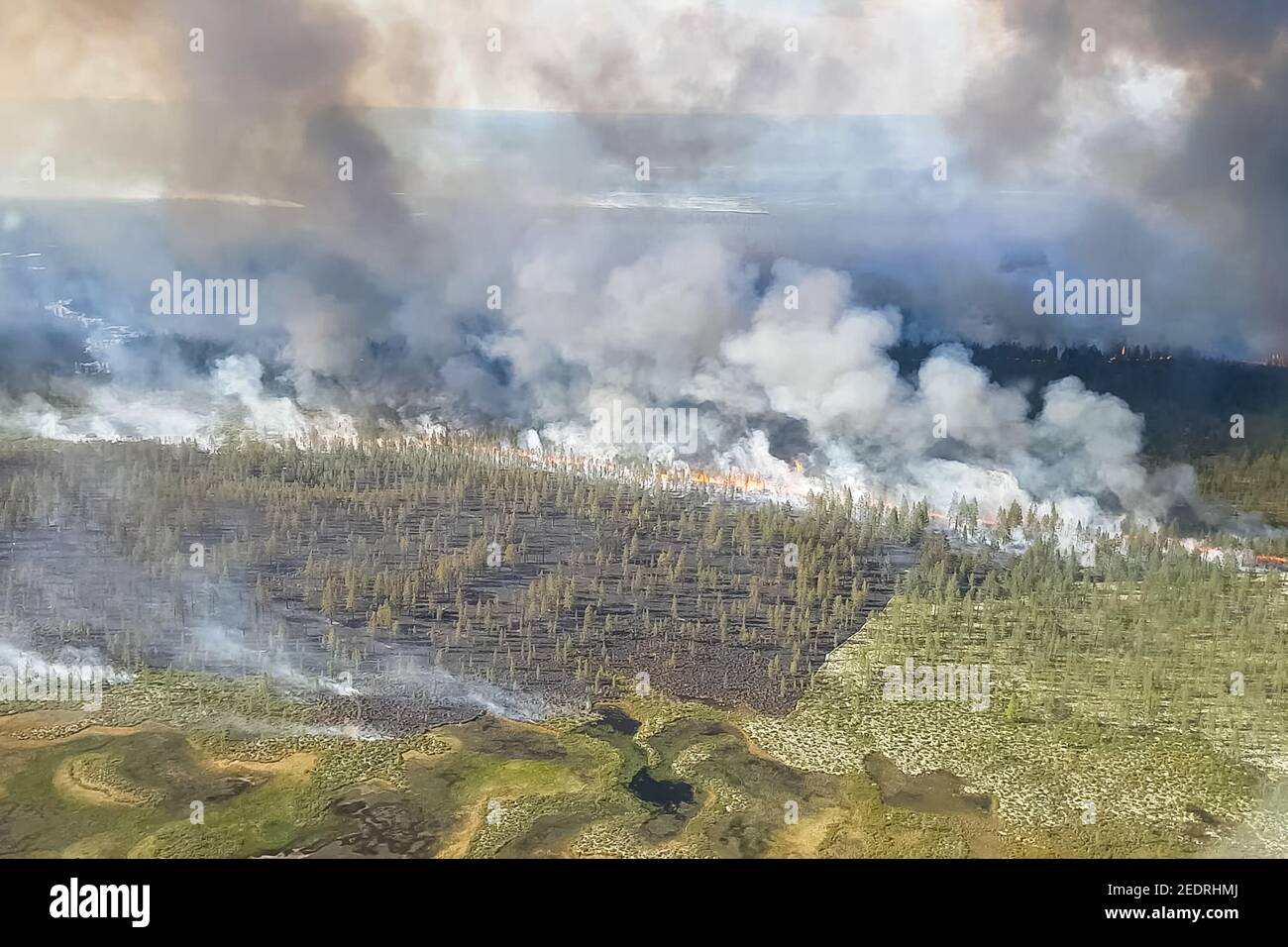 Taiga forest fires hi-res stock photography and images - Alamy