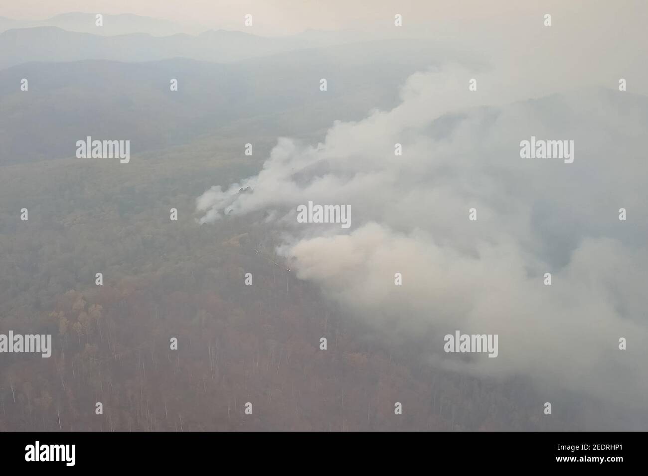 Taiga forest fires hi-res stock photography and images - Alamy
