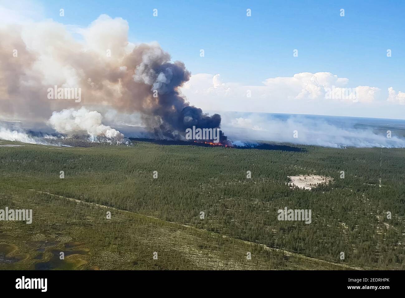 Taiga forest fires hi-res stock photography and images - Alamy