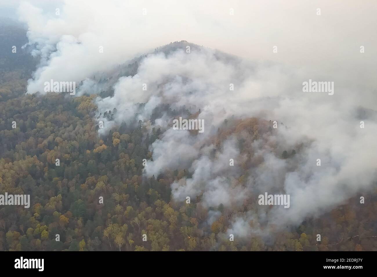 Taiga forest fires hi-res stock photography and images - Alamy