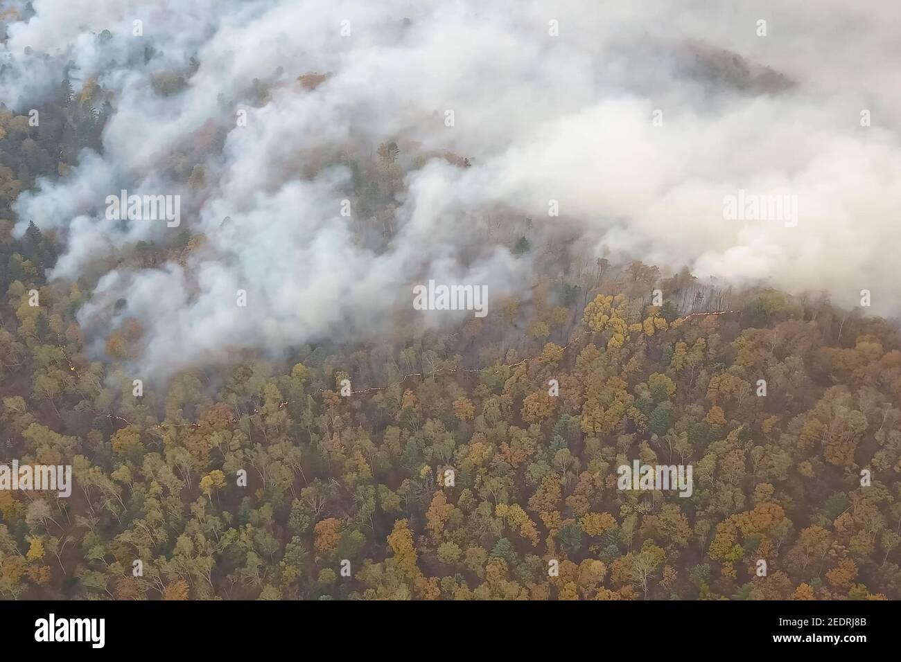 Taiga forest fires hi-res stock photography and images - Alamy