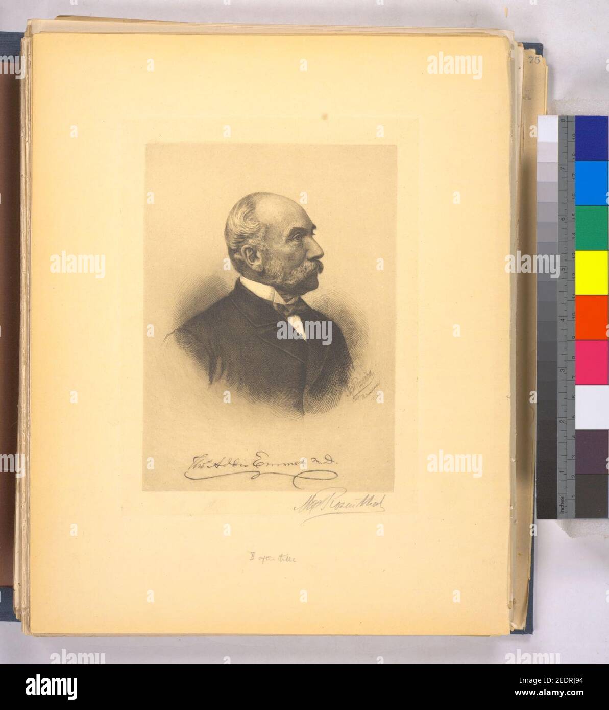 Thomas Addis Emmet Stock Photo - Alamy