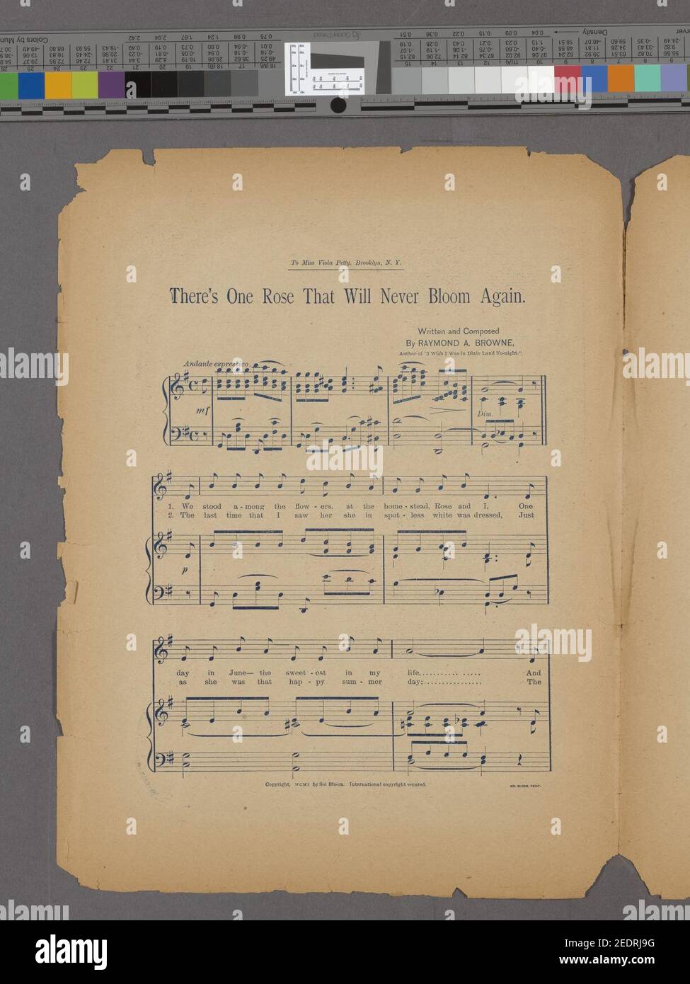 There's one rose that will never bloom again Stock Photo - Alamy