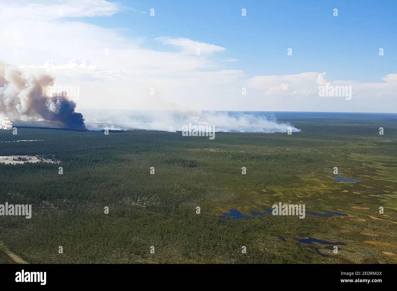 Taiga forest fires hi-res stock photography and images - Alamy