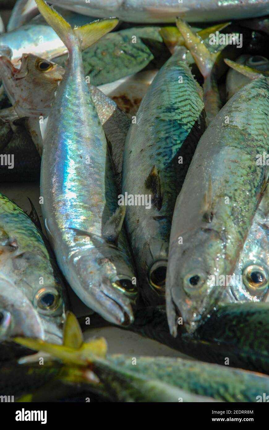 Mercado de copacabana hi-res stock photography and images - Alamy