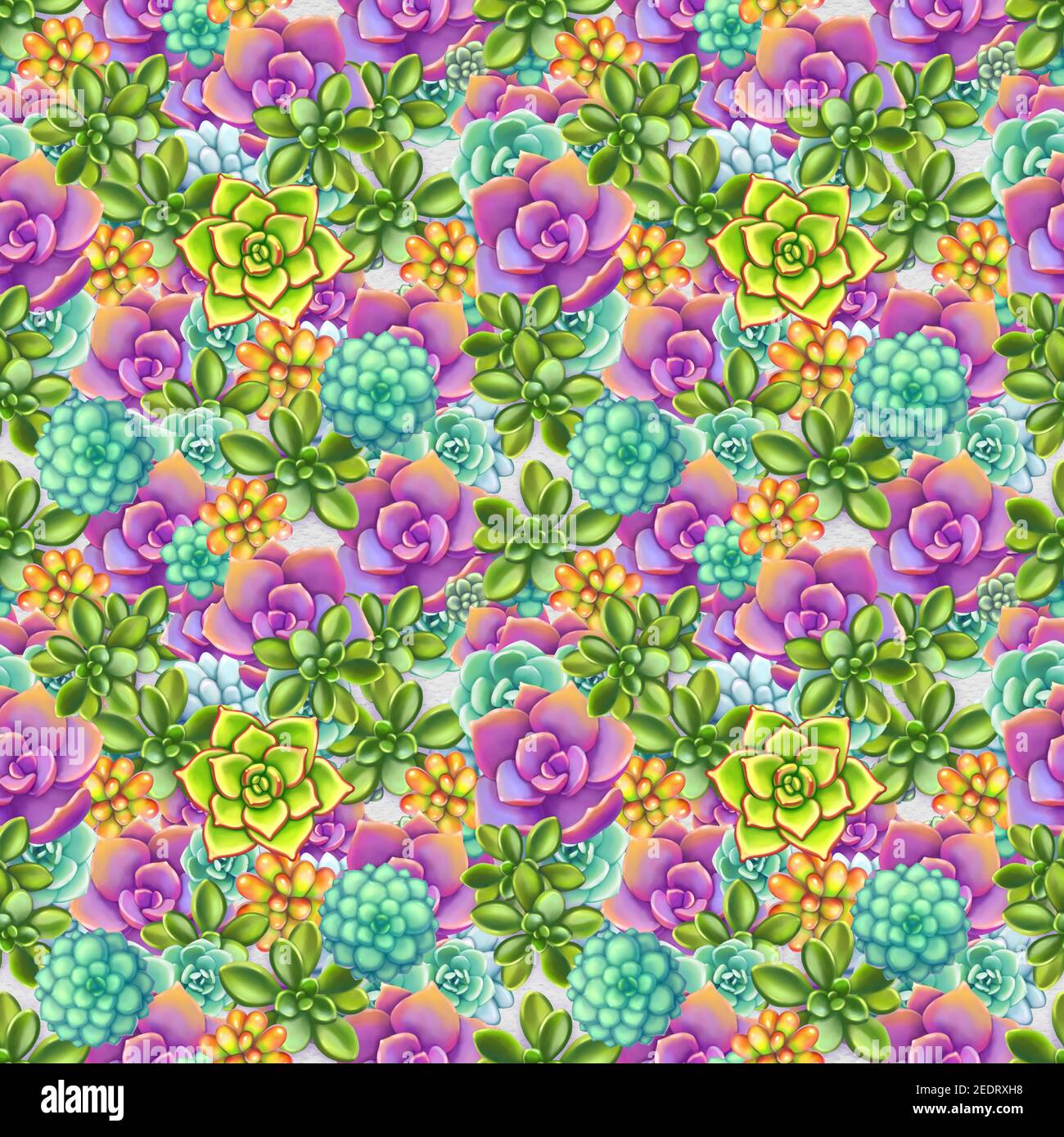 Seamless pattern with succulents. Beautiful floral print Stock Photo ...