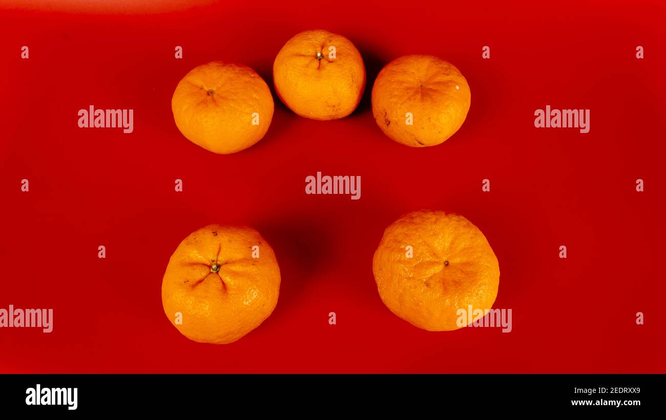 5 Mandarin oranges for Chinese New year celebration and decoration on ...