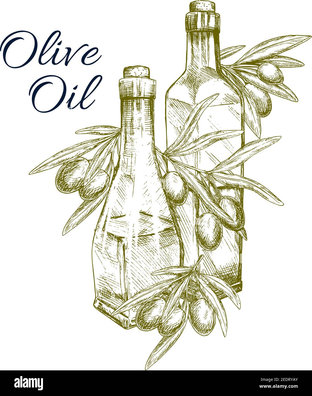 Hand drawn olive oil bottles hi-res stock photography and images - Alamy