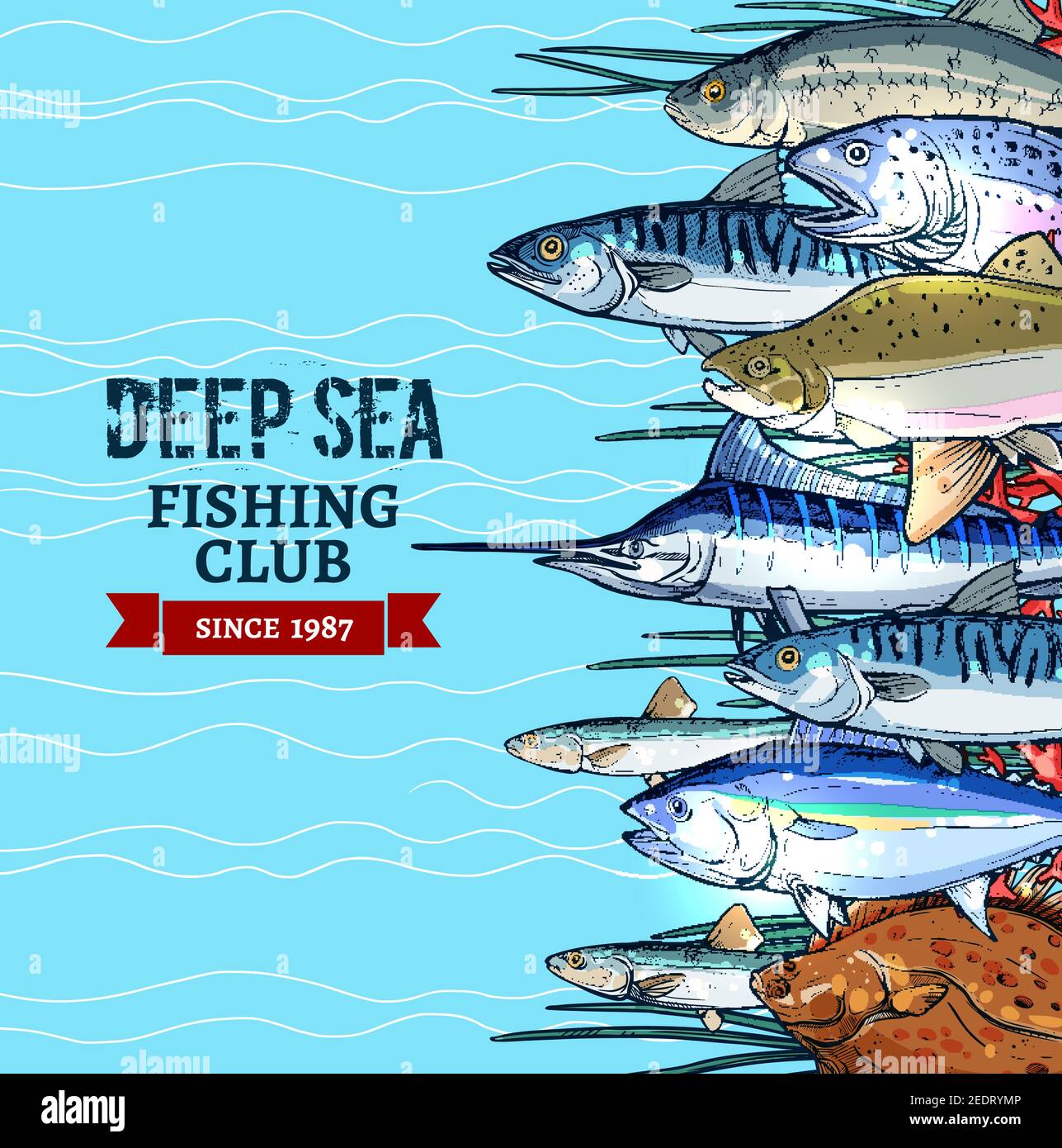 Sea fishing club poster. Fishing sport club banner with sea fish ...