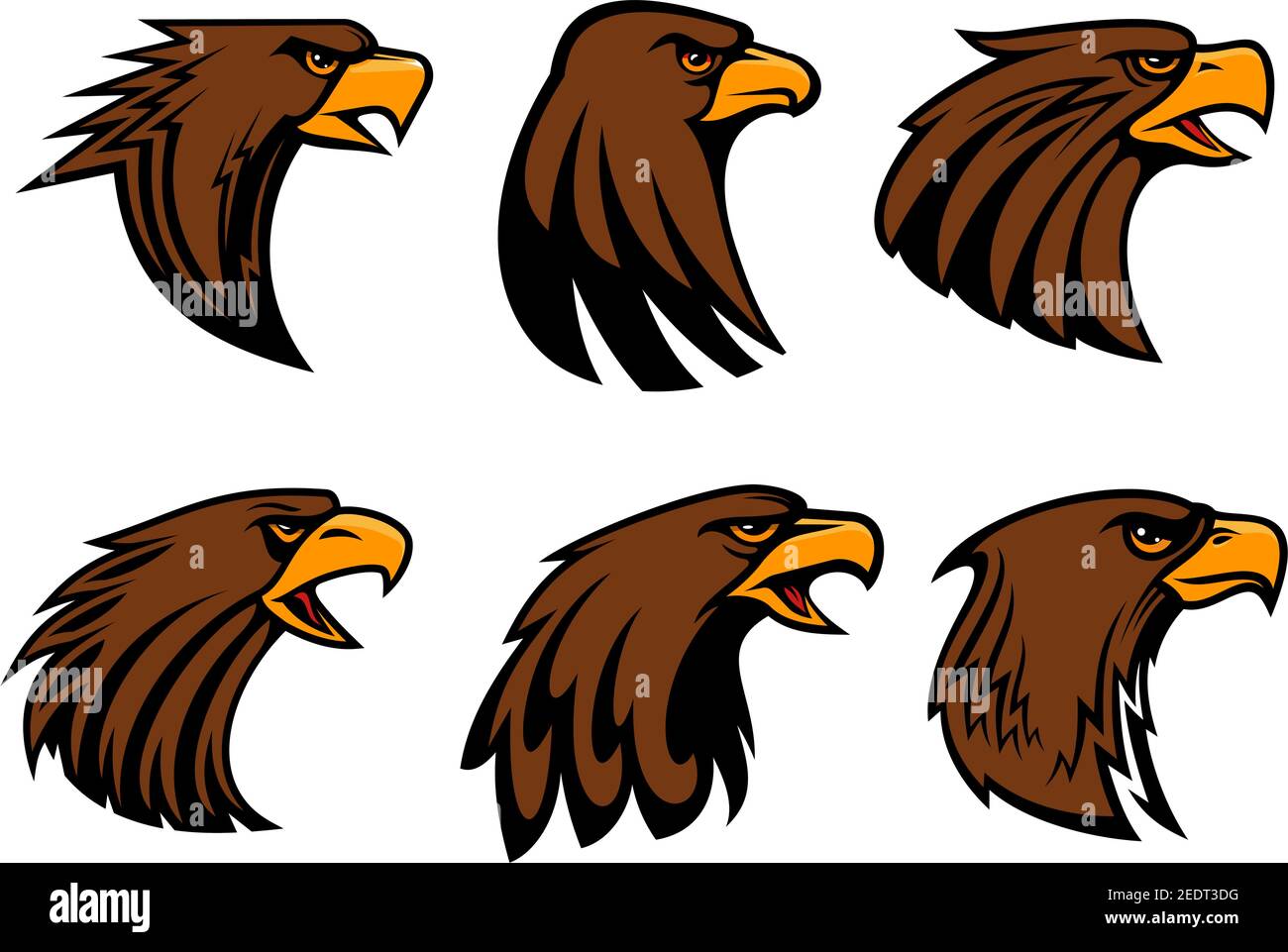 Bird Mascot Vector