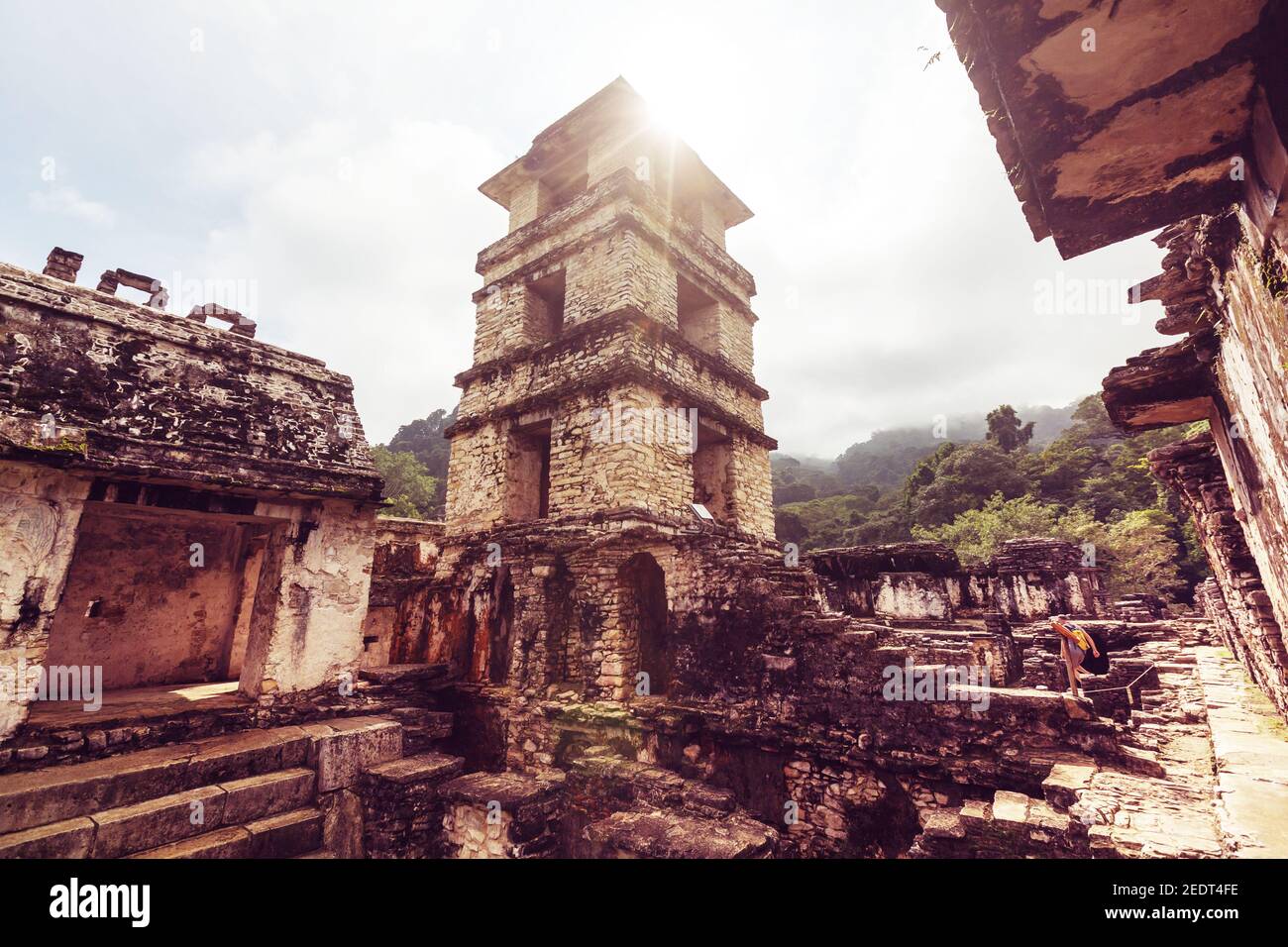 Ancient Palenque pyramid in Mexico Stock Photo - Alamy