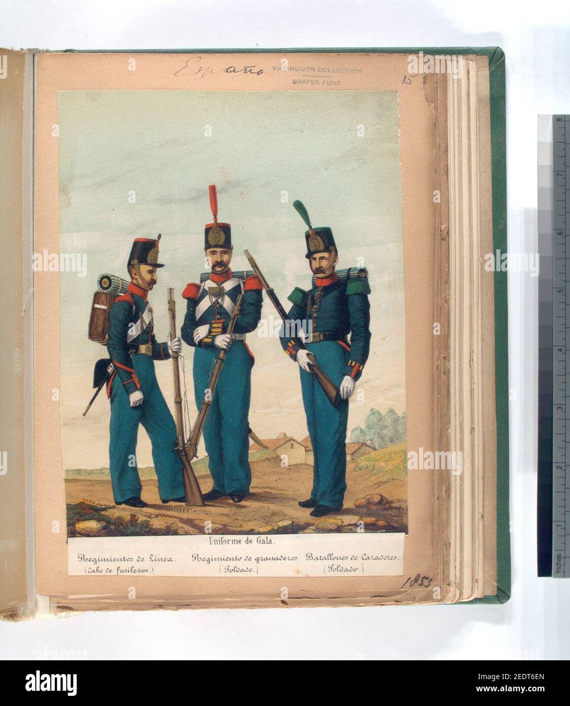 Uniforme de Gala- Regimientos de Linea (Cabo de fusileros), Regimiento ...