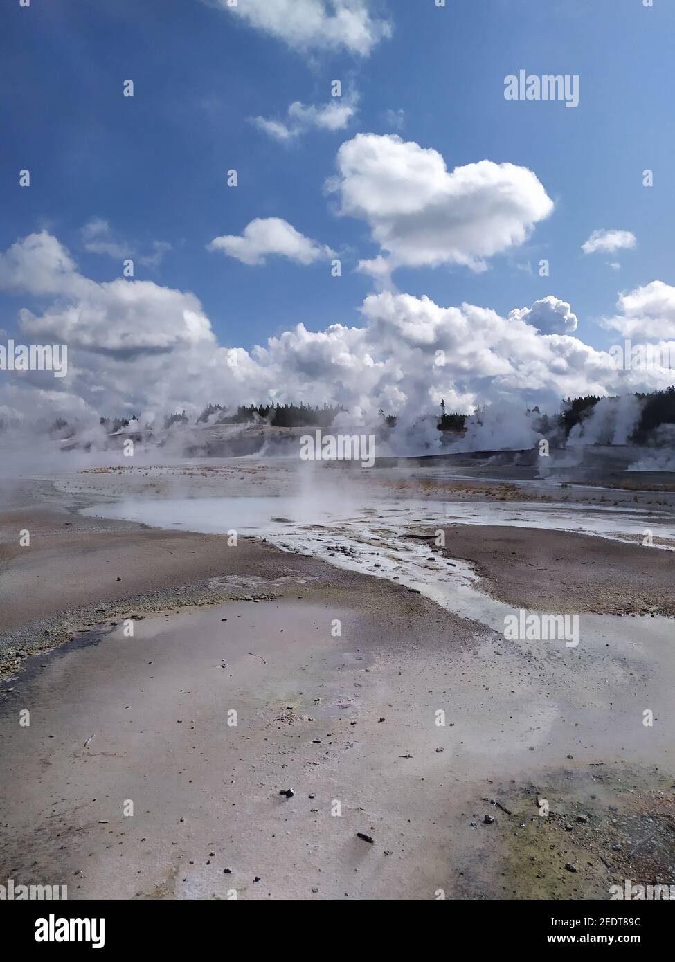 Geysers erupting in the Yellowstone National Park Stock Photo - Alamy