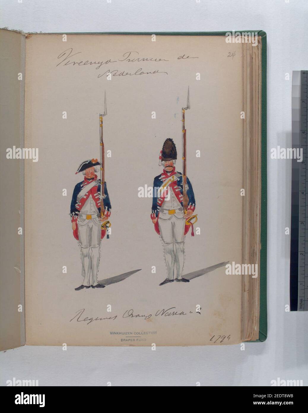 Nassau regiment hi-res stock photography and images - Alamy