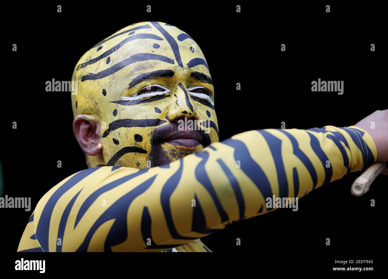 Cricket face paint hi-res stock photography and images - Alamy