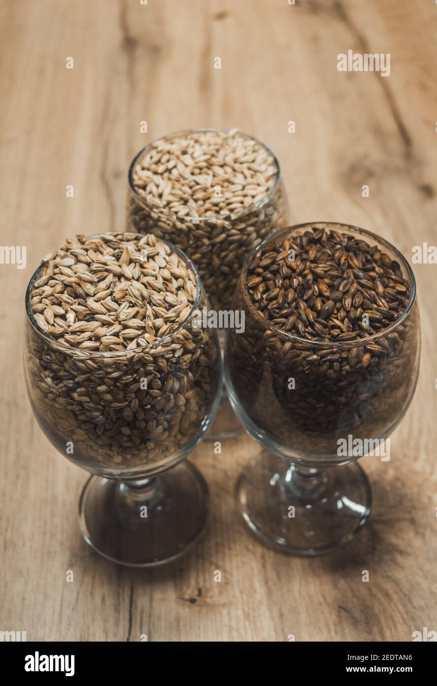 Closeup shot of malted barley in beer glasses used for beer brewing ...
