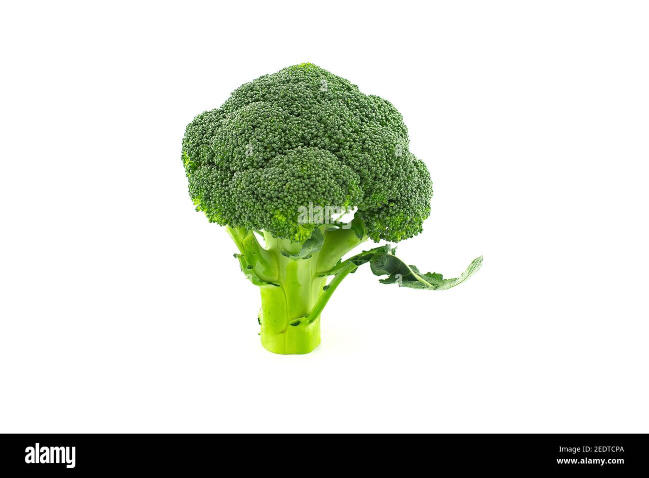 Fresh raw green broccoli florets isolated on white background Stock ...